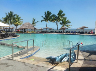 5 Wheelchair-Friendly Pools That Will Amaze You