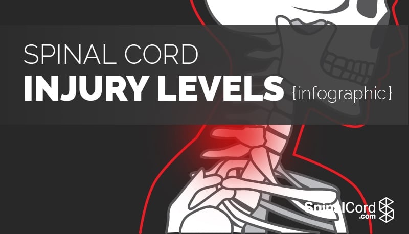 The Spinal Cord Injury Levels [Infographic]