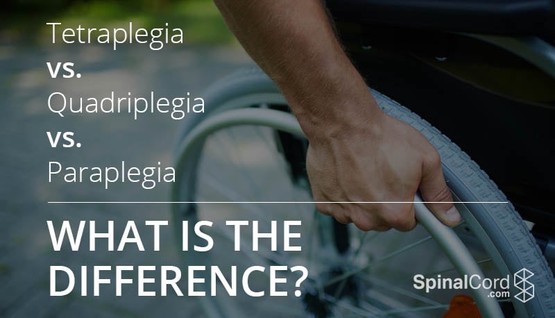 What is Tetraplegia, Quadriplegia and Paraplegia?