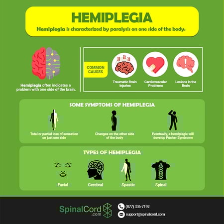 Living with Hemiplegia and Hemiparesis: Causes, Treatment + Coping