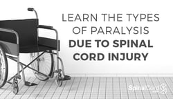 Types of Paralysis: Monoplegia, Hemiplegia, Paraplegia, and Quadriplegia