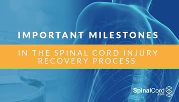 Important Milestones in the Spinal Cord Injury Recovery Process