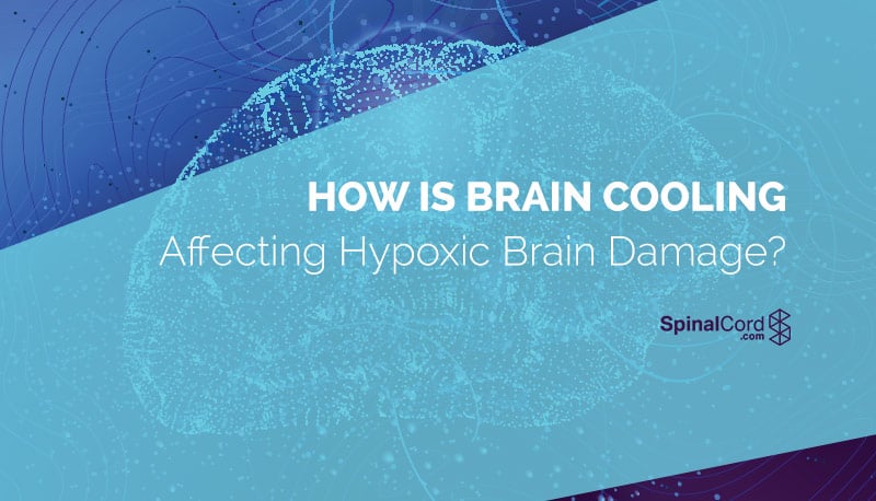 How Is Brain Cooling Affecting Hypoxic Brain Damage?