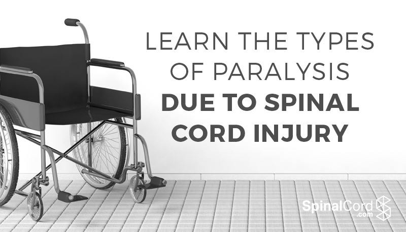 Learn the Types of Paralysis Due to Spinal Cord Injury
