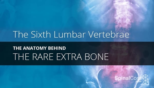 What is the Sixth Lumbar Vertebra? A Rare Extra Bone