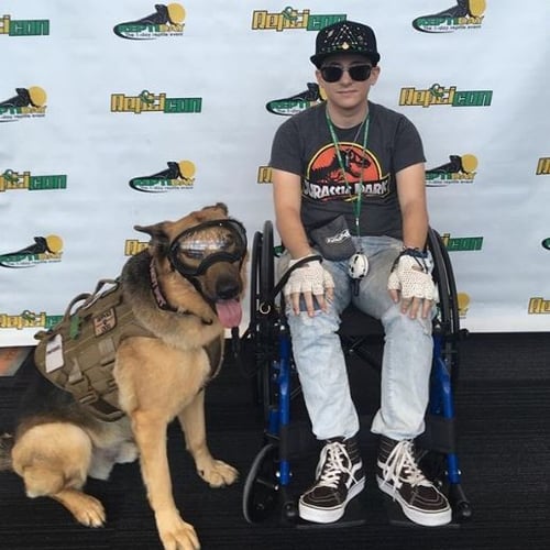 Best Service Dogs of Instagram