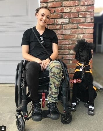 Best Service Dogs of Instagram