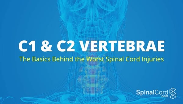 C1–C2 Vertebrae Injuries: Symptoms, Nerve Damage & Recovery