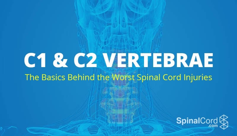 C1–C2 Vertebrae Injuries: Symptoms, Nerve Damage & Recovery