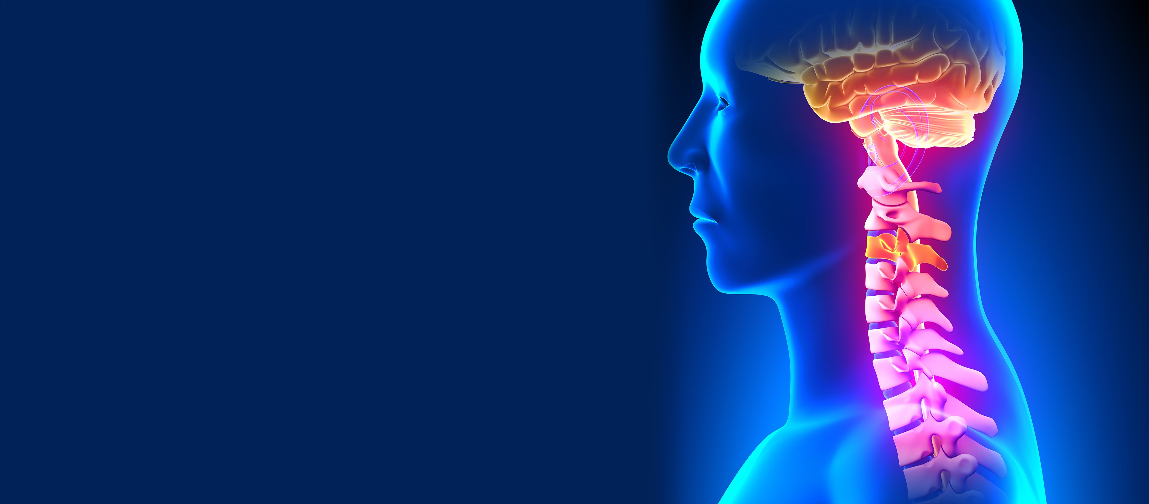 C3, C4, & C5 Vertebrae Spinal Cord Injury | SpinalCord.com