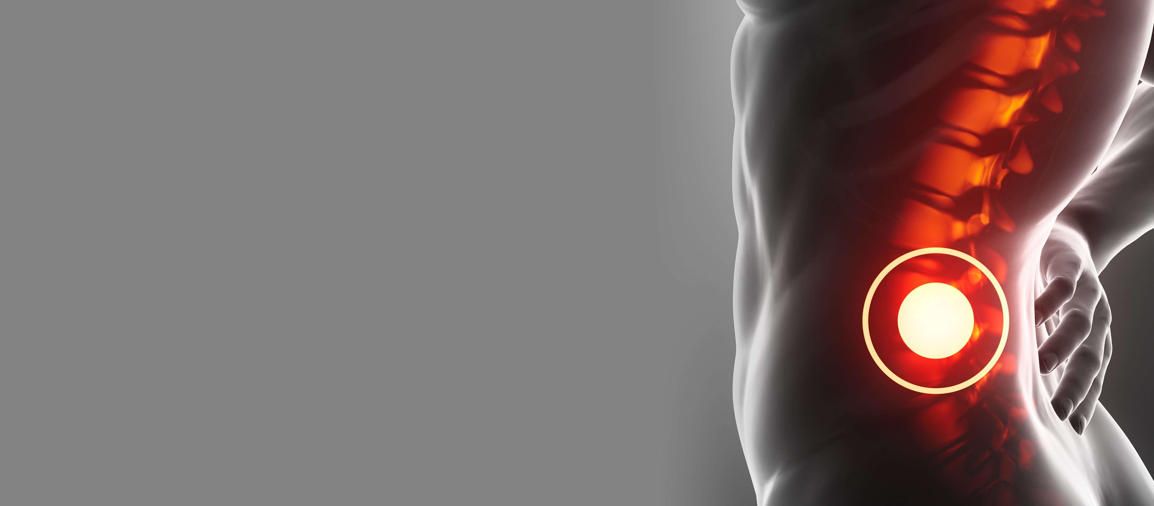 Living with Paraplegia: Cures, Treatments, Exercises, and More