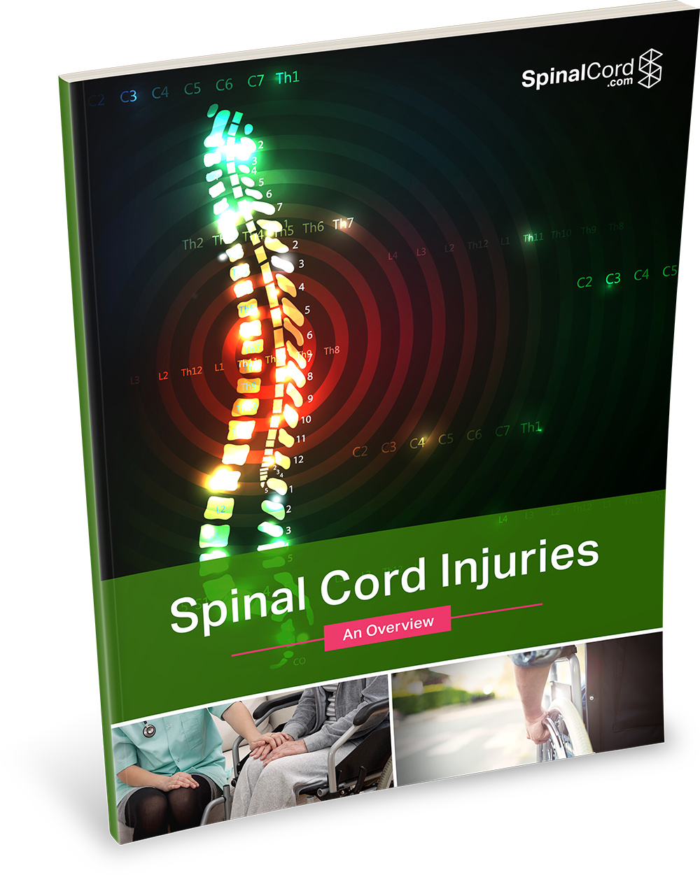 The Simplified Guide to Understanding a Spinal Cord Injury The Simplified Guide to Understanding a Spinal Cord Injury